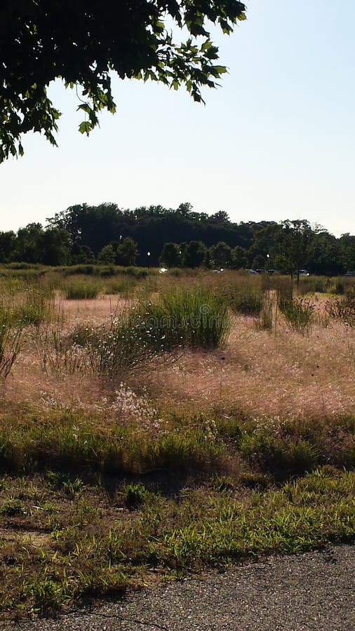 Overlooking a field stock image. Image of overlooking - 97060181