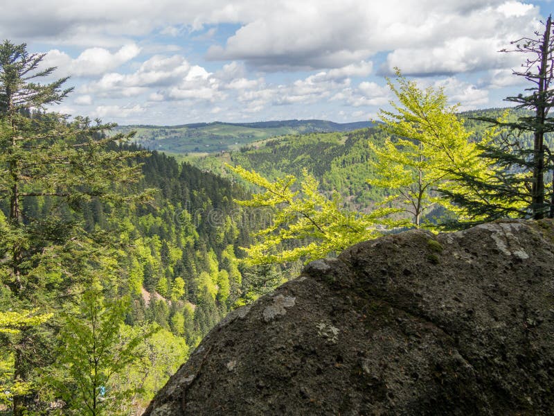 Overlooking Hills in France Stock Photo - Image of hill, pine: 55340600