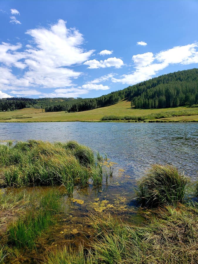 Overlooking a Lake in the Mountains Stock Image - Image of grass ...