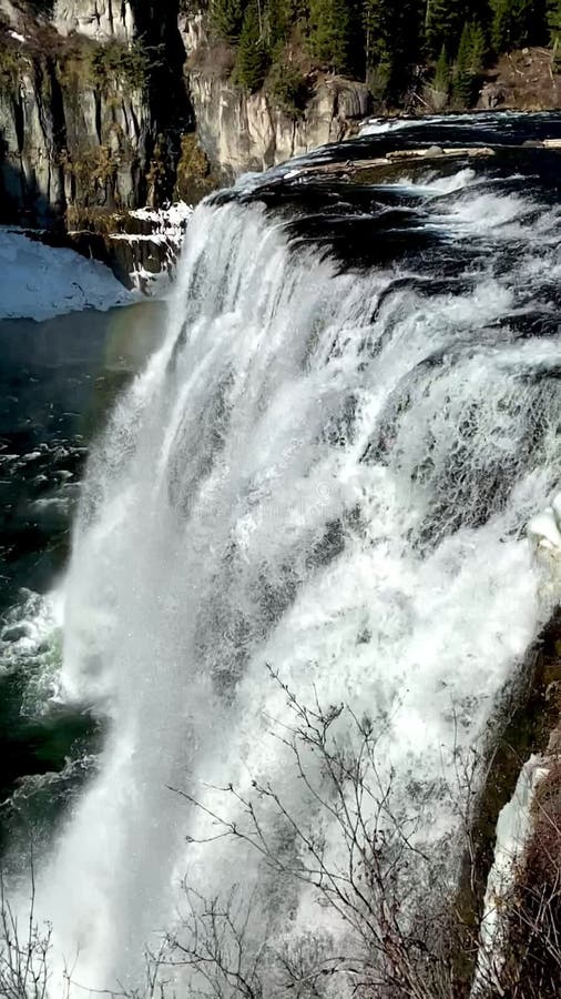 Video of a Large Waterfall with Pine Trees in the Background Stock ...