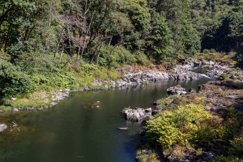 Overlooking the Nehalem River in Oregon Stock Image - Image of falls ...