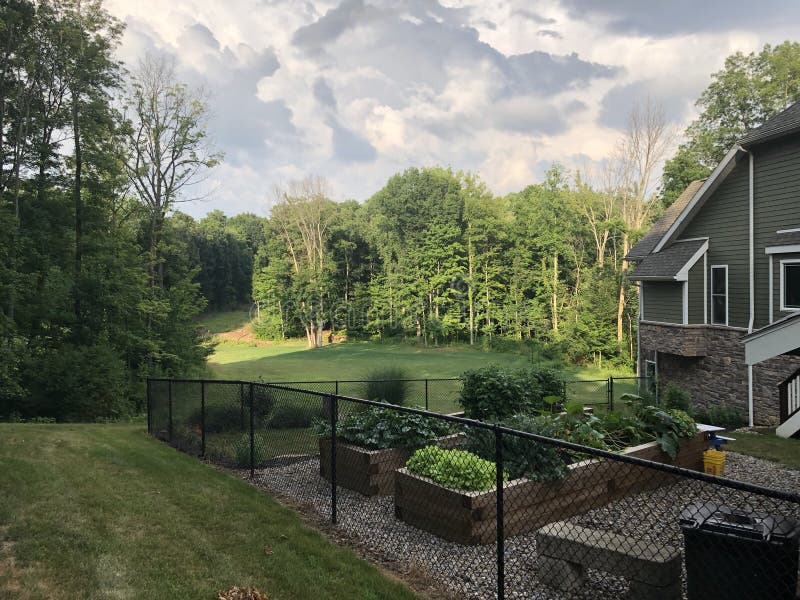 Overlooking Raised Vegetable Garden Stock Image - Image of overlooking ...