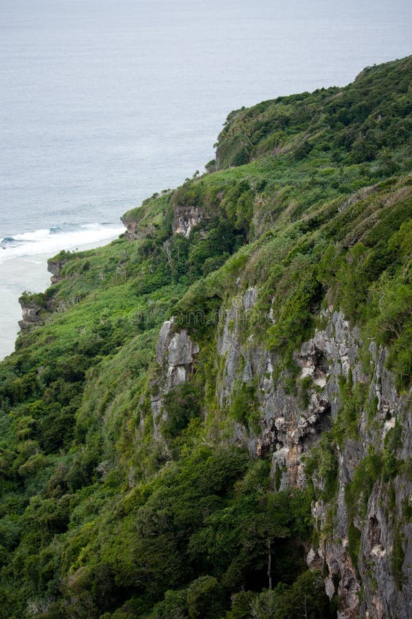 Overlooking a Rock on the Coast of Eua Island in Tonga Stock Image ...