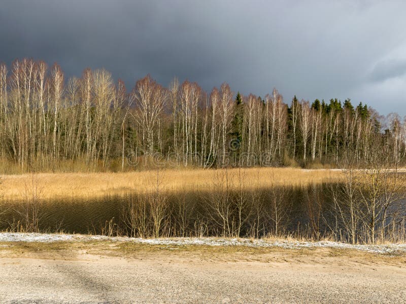 Overlooking a Small Lake in Early Spring, Sunlight Shines on Trees ...