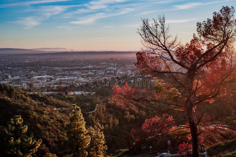 Overlooking View of Buildings in Los Angeles, California Stock Image ...