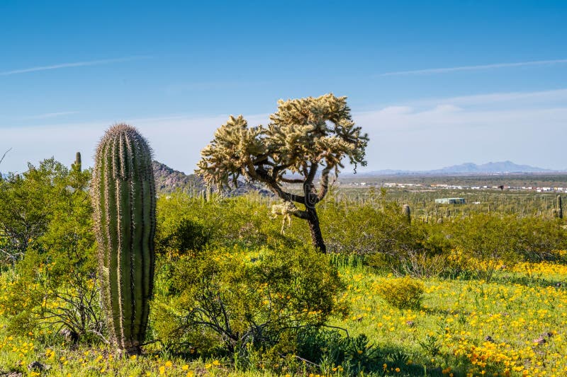 An Overlooking View of Picacho Peak SP, Arizona Stock Photo - Image of ...