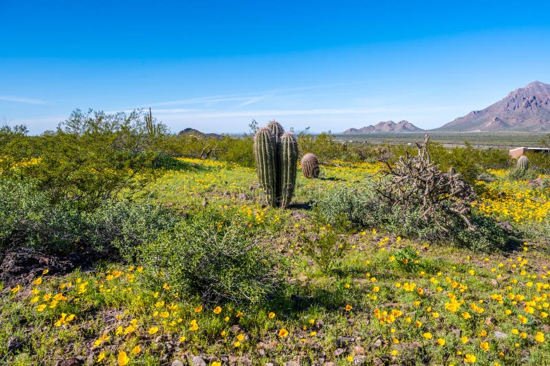 An Overlooking View of Picacho Peak SP, Arizona Stock Photo - Image of ...