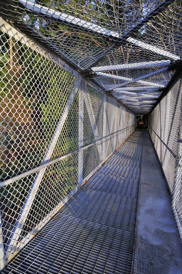 Overpass Bridge Protected by Wire Netting Stock Photo - Image of halt ...