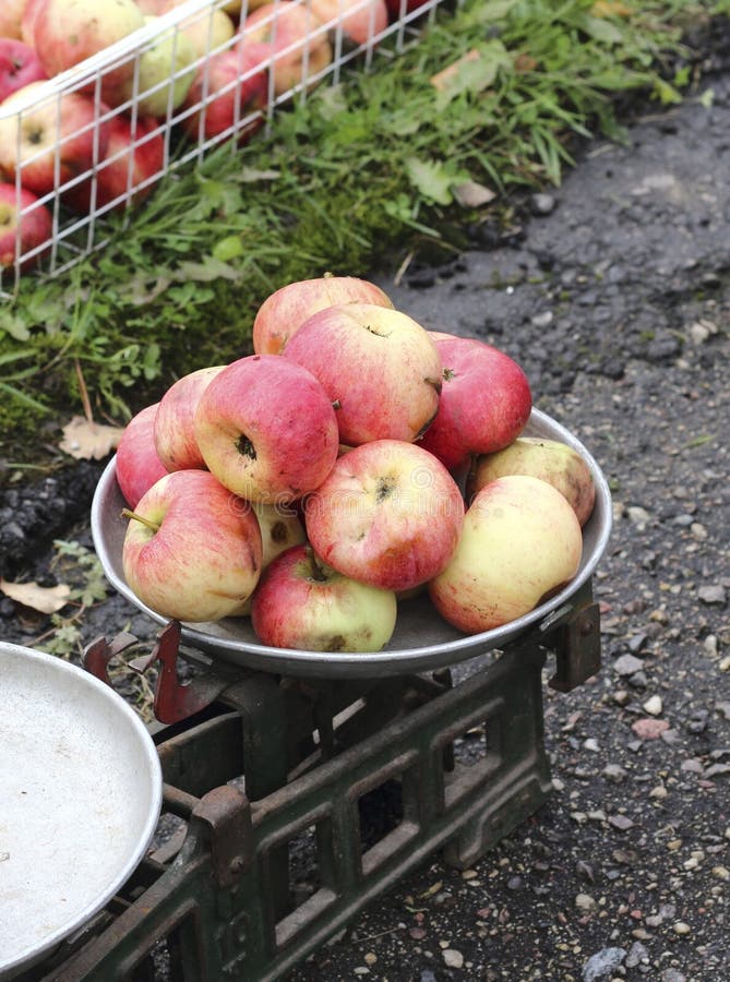 Overripe Apples on the Old Scales Stock Photo - Image of freshness ...
