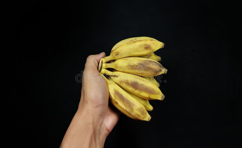 Overripe Bananas almost Rot and Dry. Isolated on Black Background Stock ...