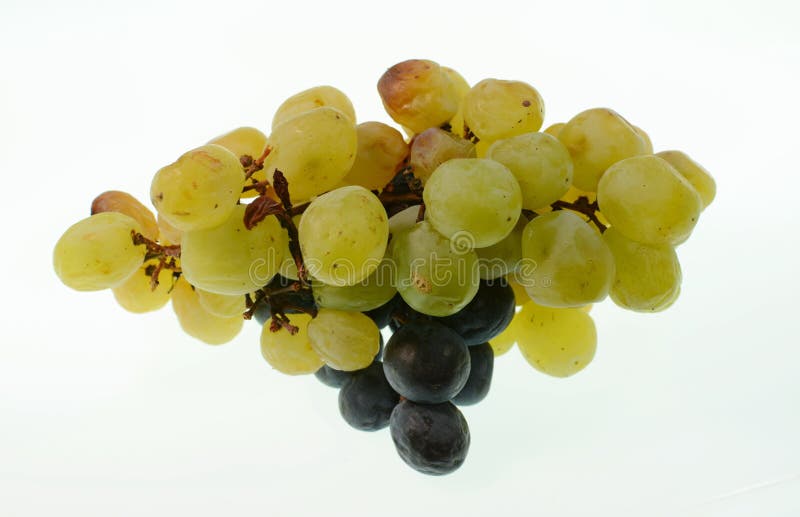 Overripe grapes stock image. Image of overripe, nutrition - 50679765