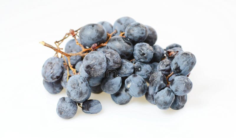 Overripe grapes stock image. Image of damn, stem, healthy - 83599723