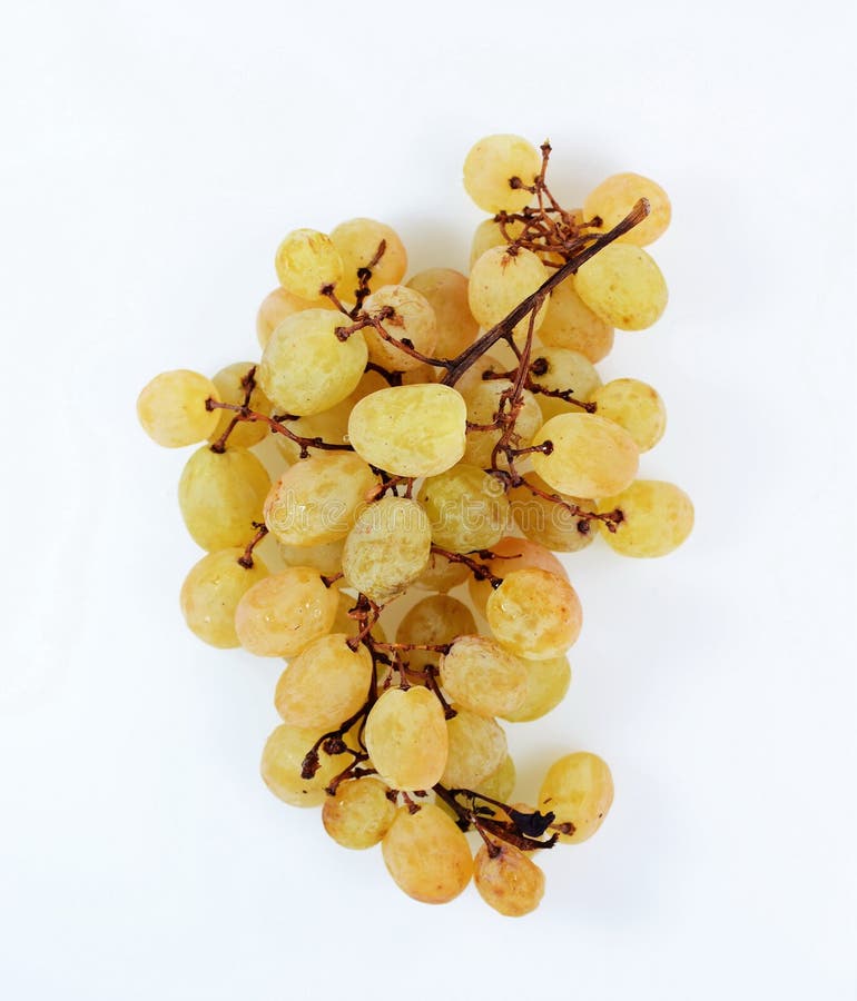 Overripe grapes stock image. Image of vegetarian, food - 83598699