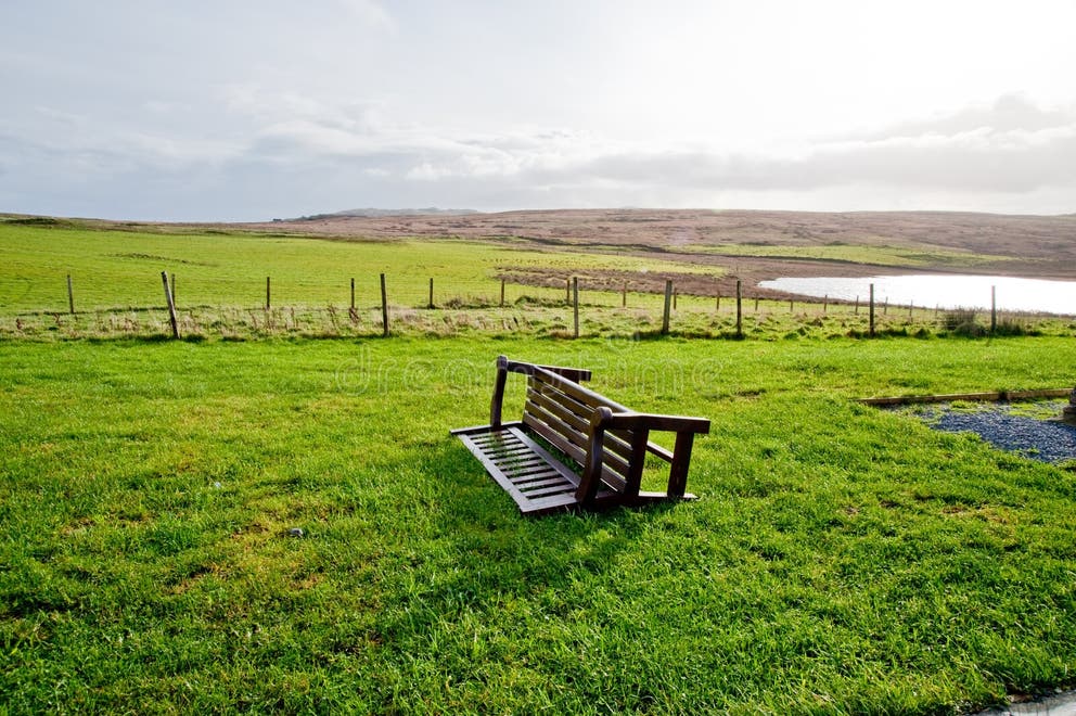 Overturned bench stock photo. Image of furniture, garden - 13313618