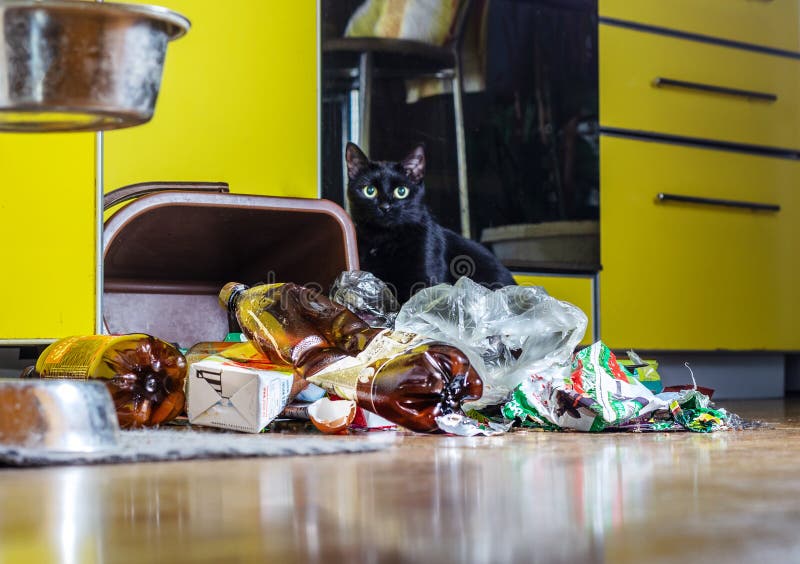 An Overturned Garbage Can and a Pile of Garbage in the Kitchen Against ...