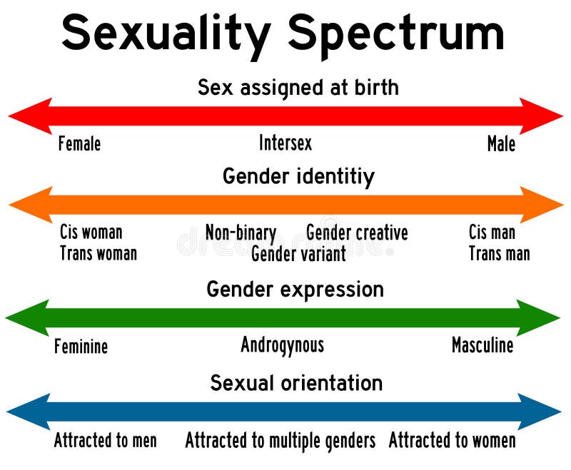 Sexuality spectrum stock illustration. Illustration of lgbt - 239091858
