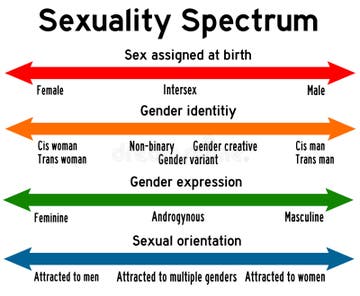 Sexuality spectrum stock illustration. Illustration of lgbt - 239091858