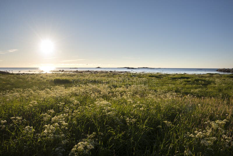 Overview in Eggun in Norway Stock Photo - Image of mountain, eggun ...