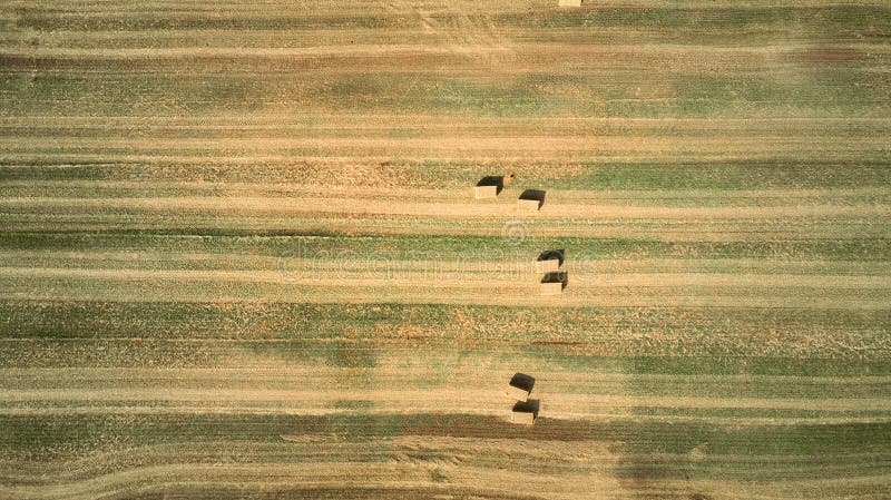 A Overview of Farm Field with Stacks of Hay Stock Photo - Image of mark ...