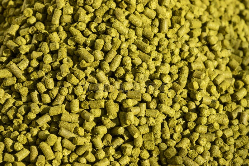 Overview of hop pellets stock image. Image of closeup - 262550131