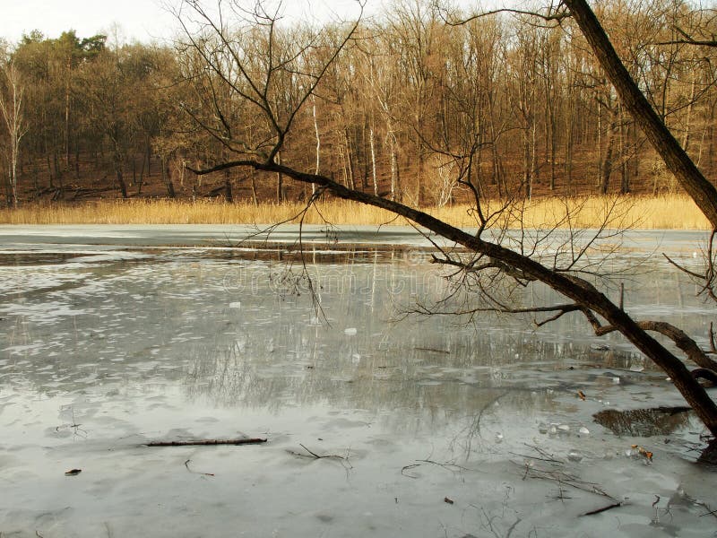 Overview Ice Cover Lake with Tree in Foreground Stock Photo - Image of ...