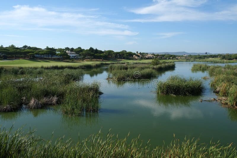 Overview of a Lake and Golf Course Stock Image - Image of sports ...