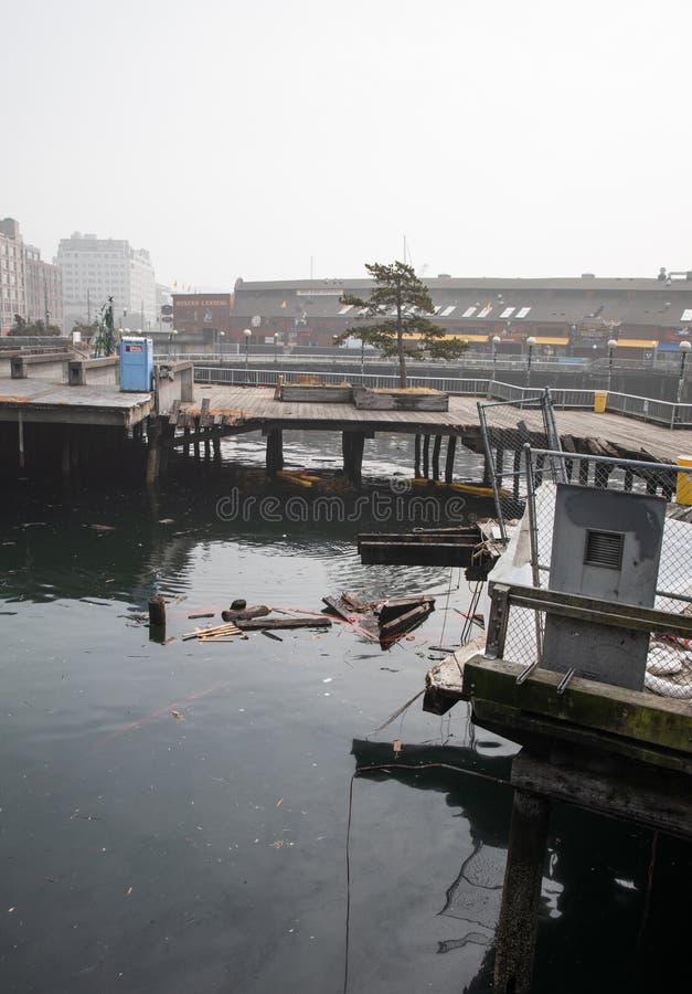 Overview of Massive Partial Collapse of Pier 58 at Elliott Bay, Seattle ...