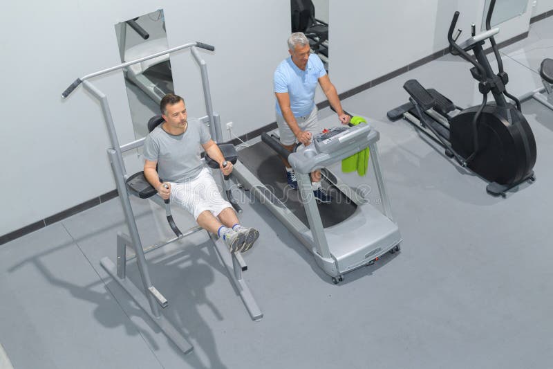 Overview people at gym stock photo. Image of rowmachine - 312437862