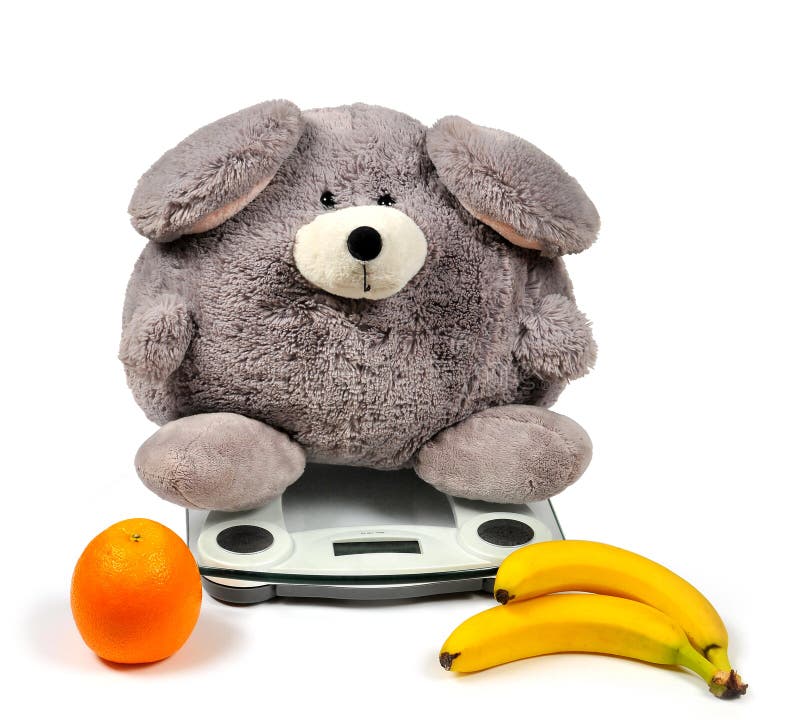 Fat Mouse Stock Images - Download 495 Royalty Free Photos