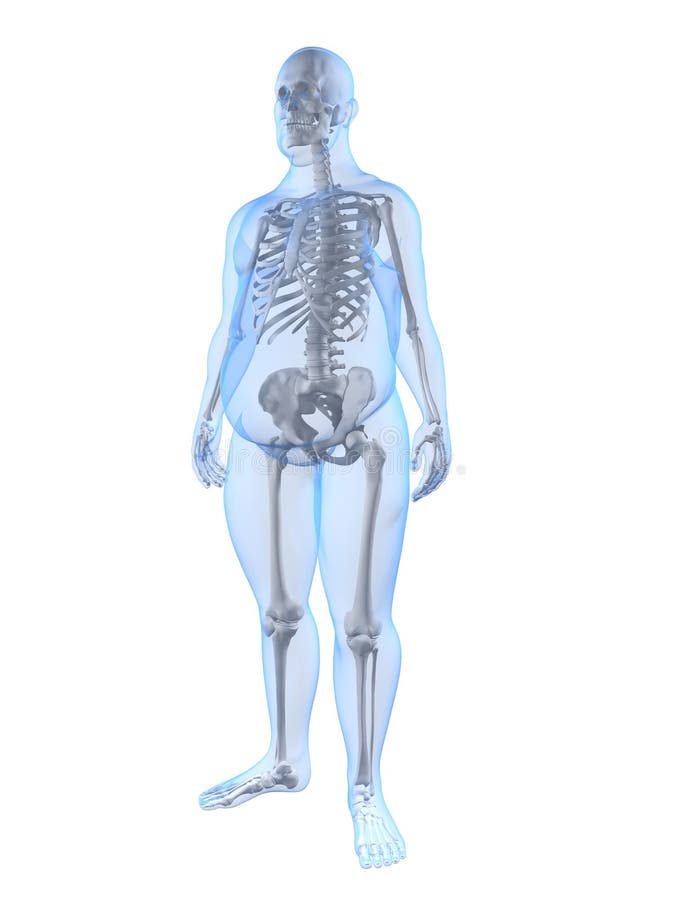 Overweight male - skeleton stock illustration. Illustration of medical ...