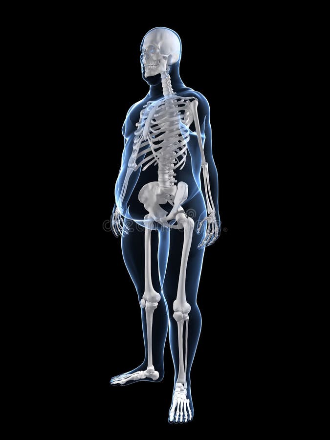 Overweight male - skeleton stock illustration. Illustration of bones ...