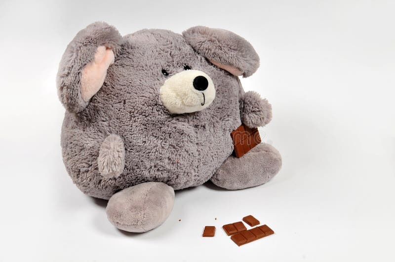 Overweight Mouse Eating Chocolate Stock Photos - Free & Royalty-Free ...
