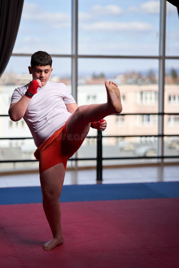 959 Shadow Fat Man Stock Photos - Free & Royalty-Free Stock Photos from ...