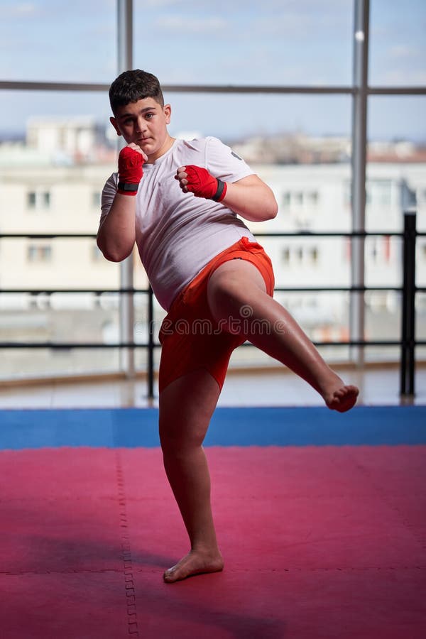 959 Shadow Fat Man Stock Photos - Free & Royalty-Free Stock Photos from ...