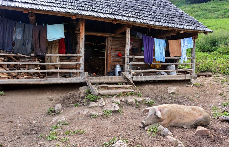 Ovile di legno immagine stock. Immagine di maiale, lavanderia - 57189393