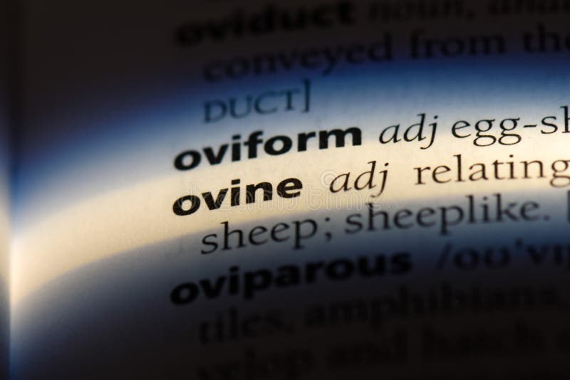 Ovine Word Stock Photos - Free & Royalty-Free Stock Photos from Dreamstime