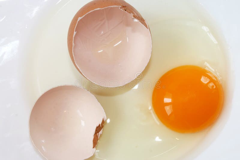 Ovo cru foto de stock. Imagem de galinha, escudo, mantimento - 13563818