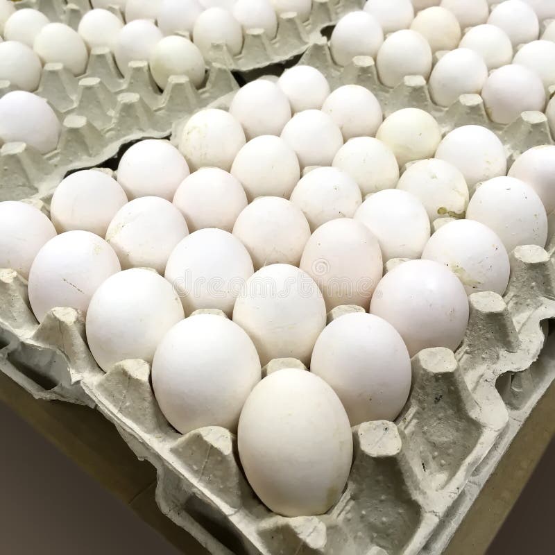 Ovos De Uma Galinha Na Embalagem Em Um Fundo Branco. Foto de Stock ...