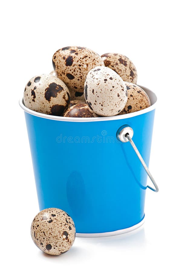 Ovos De Codorniz Na Cubeta Azul Diminuta Imagem de Stock - Imagem de ...