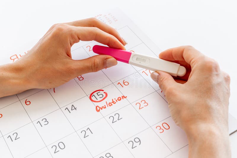 Ovulation Home Test in Female Hand Over Calendar with Red Mark Stock ...