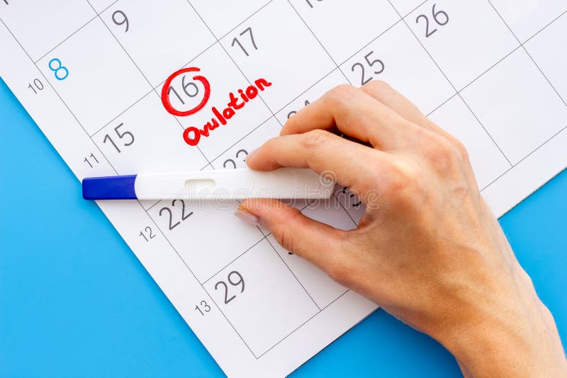 Ovulation Home Test in Female Hand Over Calendar with Red Mark Stock ...