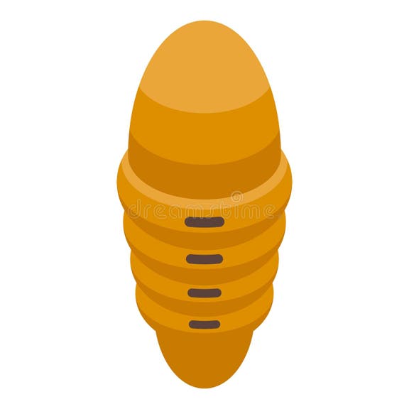 Ovum Insect Cocoon Icon Isometric Vector. Evolution Stage Stock Vector ...