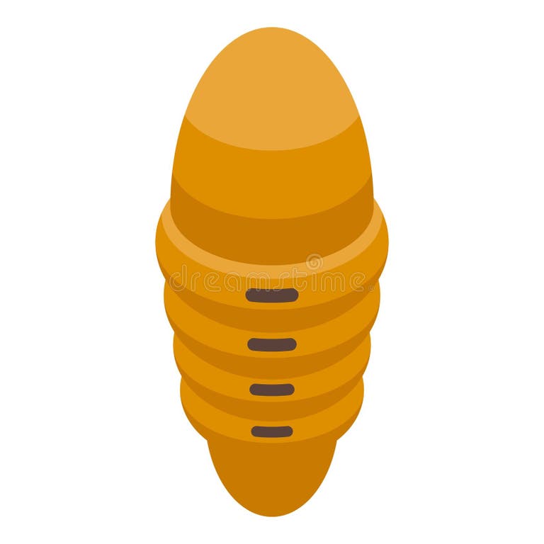 Cocoon Process Stock Illustrations – 193 Cocoon Process Stock ...