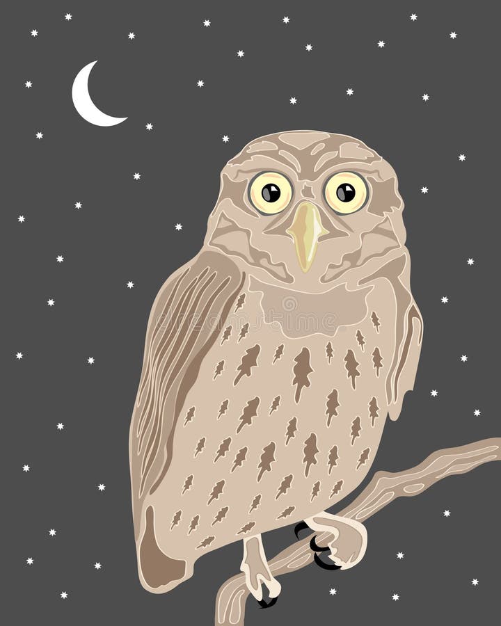 Owl Awake Stock Illustrations – 86 Owl Awake Stock Illustrations ...