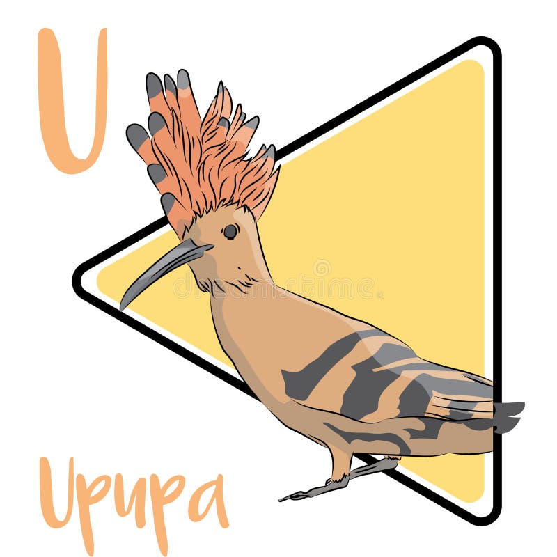 Upupa Were Considered Sacred in Ancient Egypt. Stock Illustration ...
