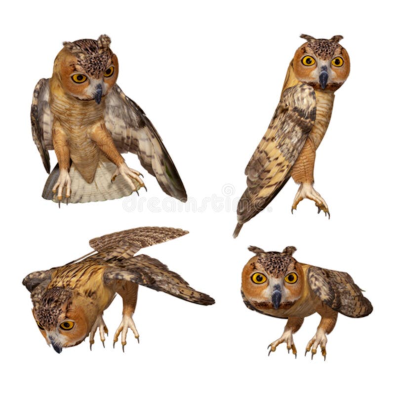 Owl Swooping Down 2 - Includes Clipping Path Stock Illustration ...