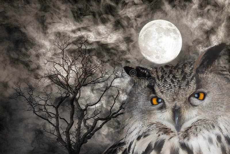 Owl On Background With Dark Bare Tree Under Moon Stock Photo - Image of ...