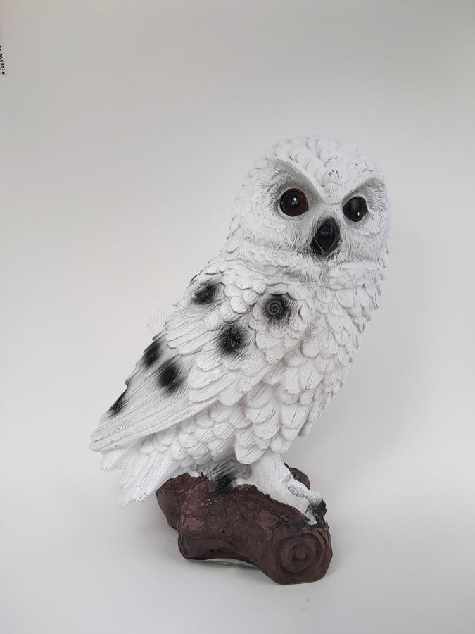 Owl Bird Object Decoration Isolated on a White Background Stock Image ...