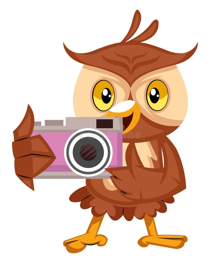 Simple Owl Camera Animal Photography Logo Icon Stock Vector ...
