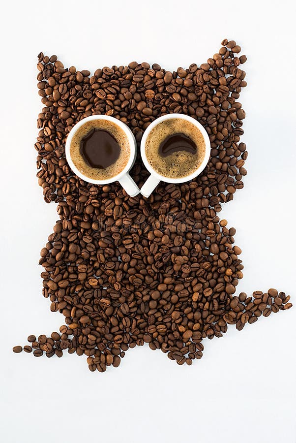 Coffee Owl stock photo. Image of brown, dark, cappuccino - 28044166